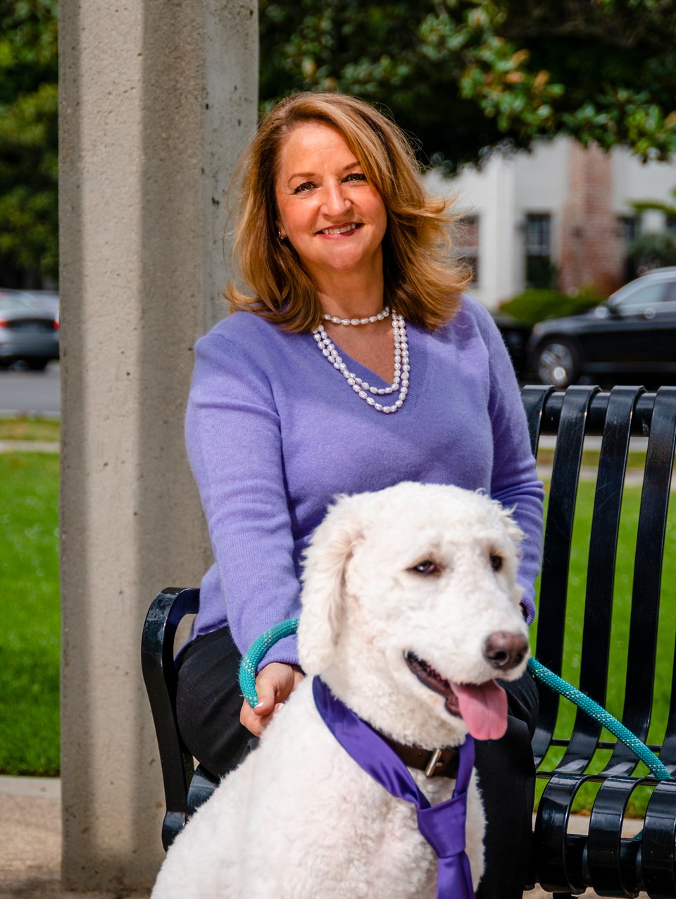 About Mary Hollis - Your Local Real Estate Agent