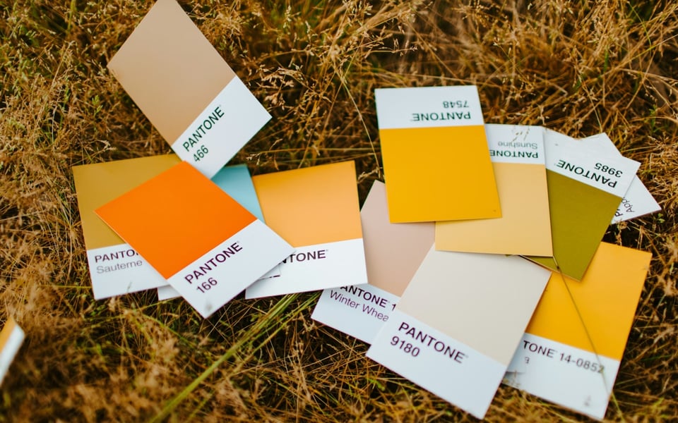 How to Use Color Psychology to Transform Your Home | Blog | Larson Group