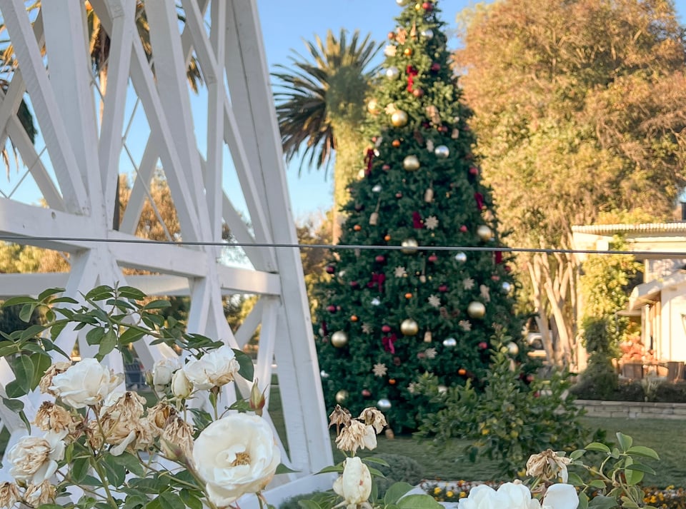 Santa Barbara Holiday Events