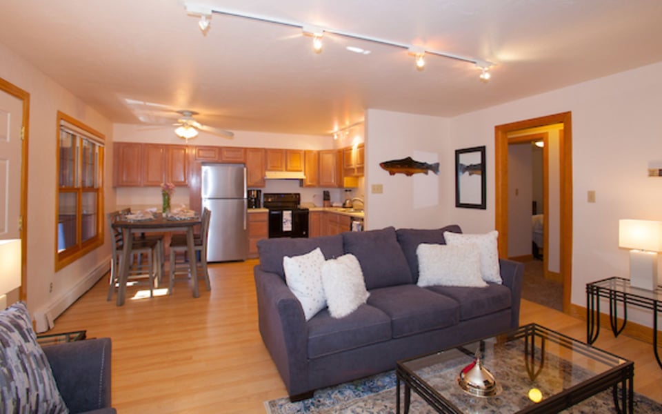 Downtown Condo | Aspen, CO 81611 | Lorrie Winnerman