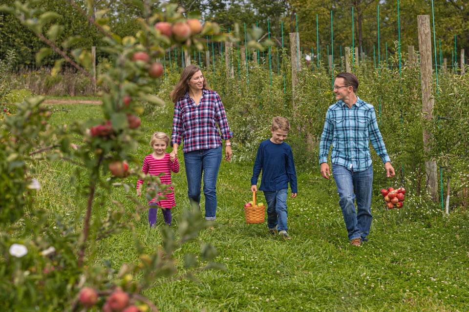 Top Suffolk County Pumpkin Patches & Apple Orchards for Fall Fun | The ...