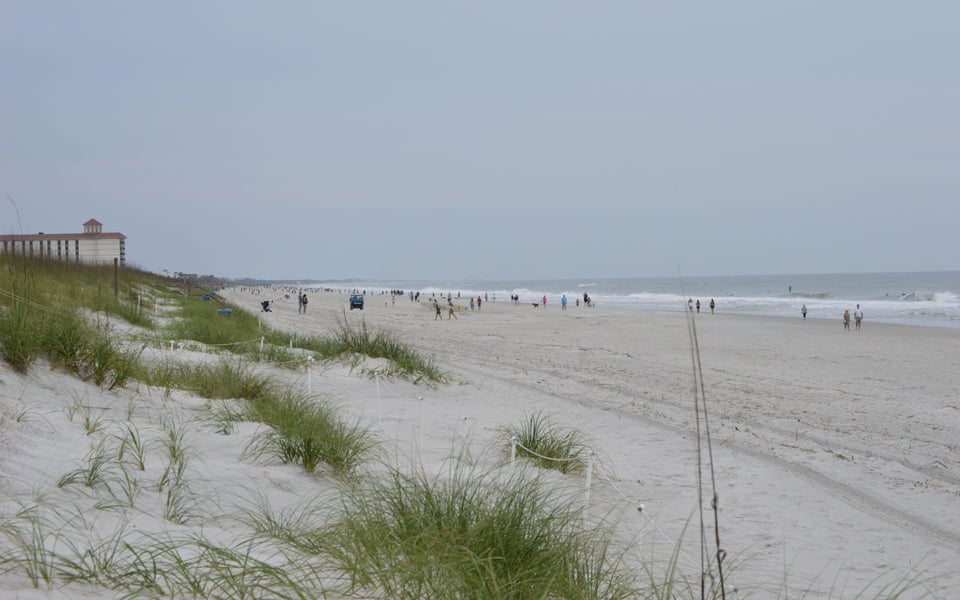 Neptune Beach | Neighborhood Guide | Kate Caffrey