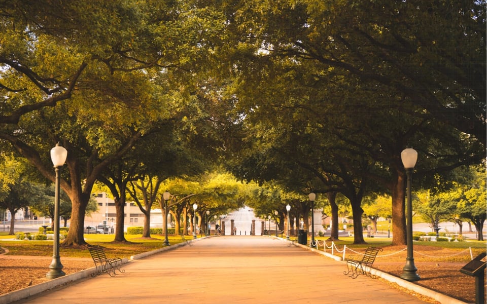 Things to do in Kessler Park, Dallas, TX | Blog | Duncan Real Estate Co.