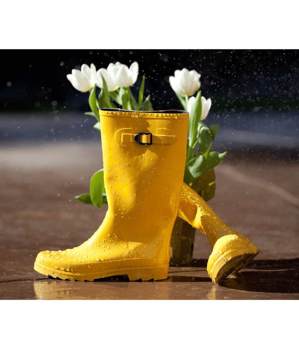 Events in Seattle - What to do in Bellevue | Michele Schuler