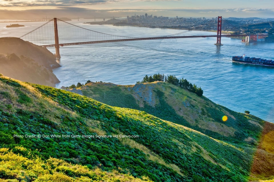 November 2024 Marin County & San Francisco Real Estate Market Reports