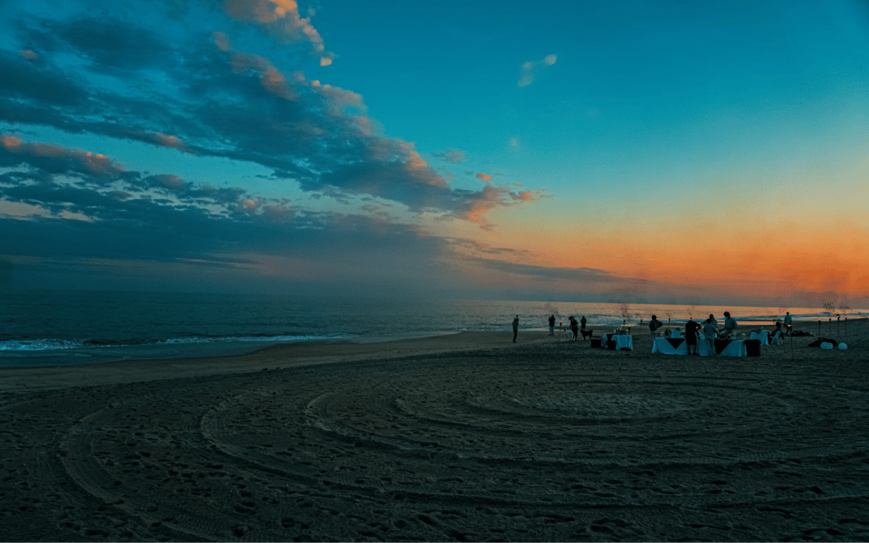 Best Summer Events & Festivals in Southampton | Blog | Harald Grant