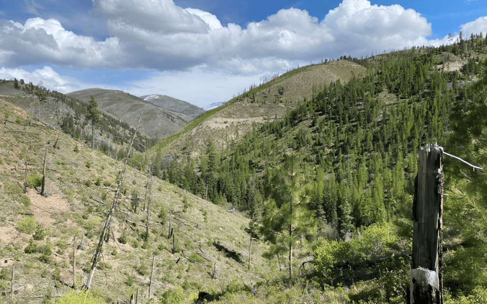Explore the Bitterroot Valley's Year-Round Recreation