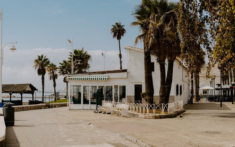 Best Coffee Shops in Cabo San Lucas Guide | Joe Taylor