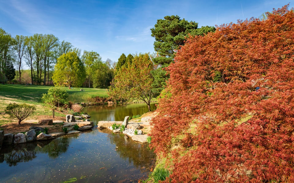 Silver Spring | Neighborhood Guide | Paula Heard