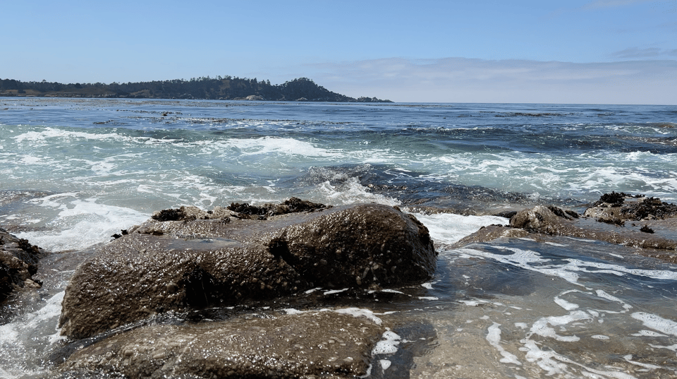 Best Beaches on the Monterey Peninsula: Hidden Gems & Icons
