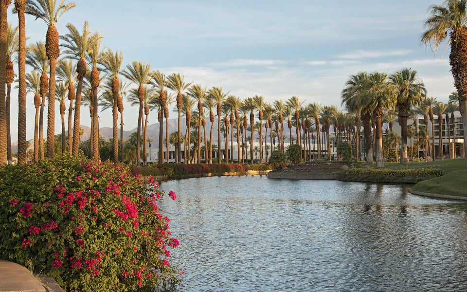 Living in Palm Springs, CA | Community Guide | Jaimee Linder