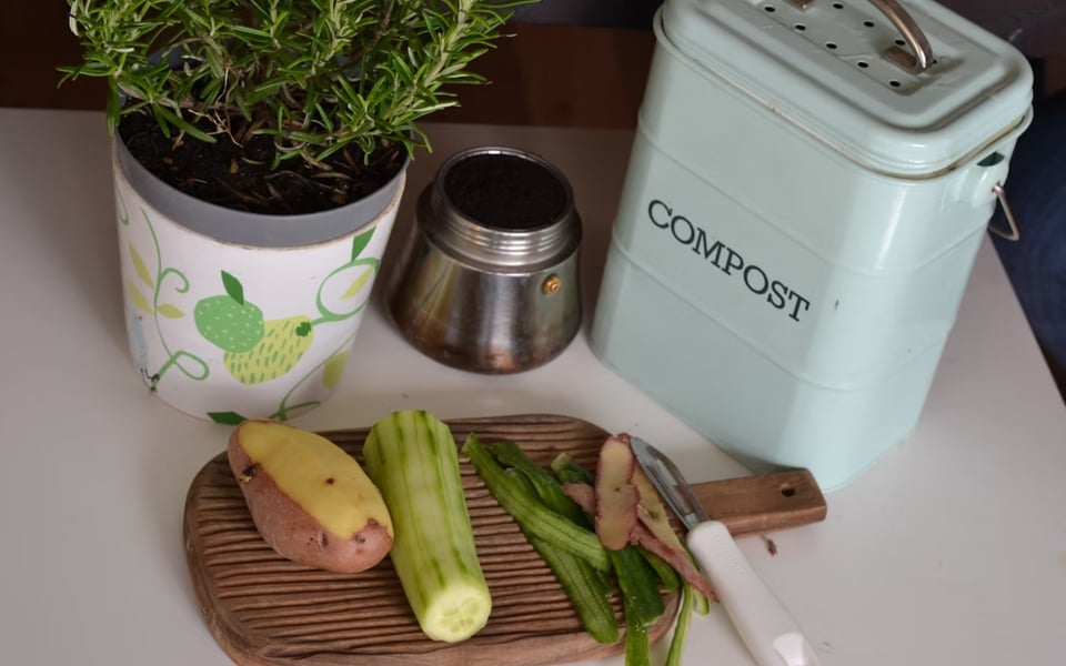 Top 10 Ways to Incorporate Sustainable Living at Home | Blog | Rachel Walsh