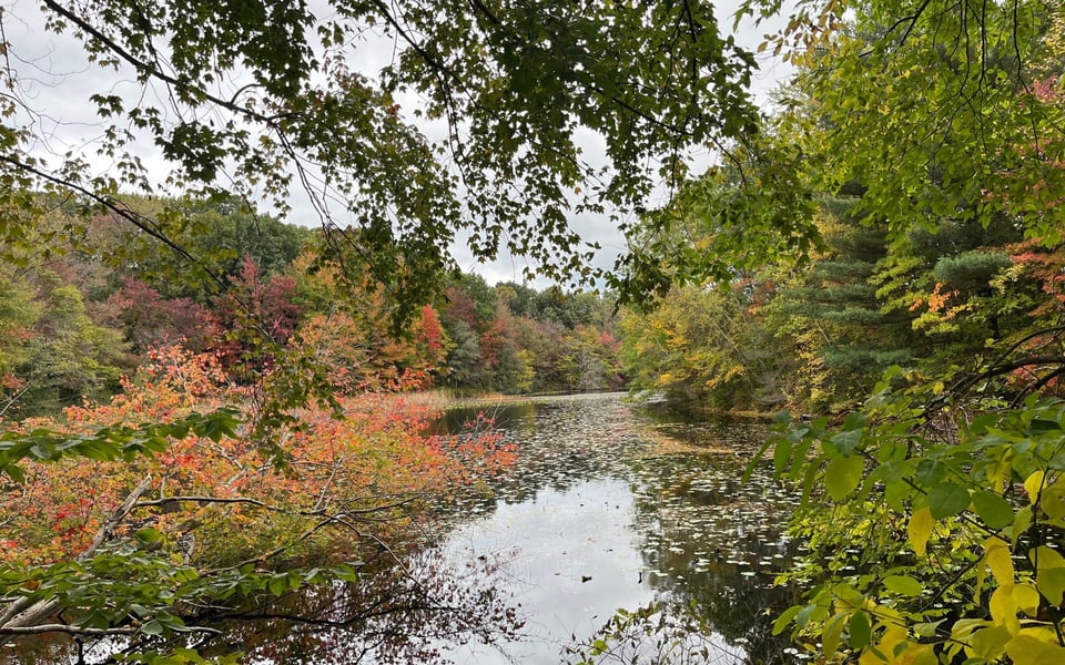 Covert, MI real estate – Community Guide | Amy O’Sullivan