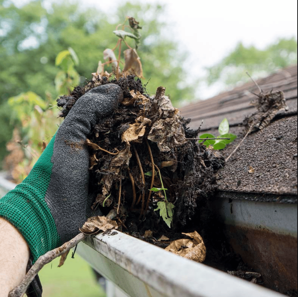 The Most Neglected Home Maintenance Item - Gutters | 680 Doug Buenz ...