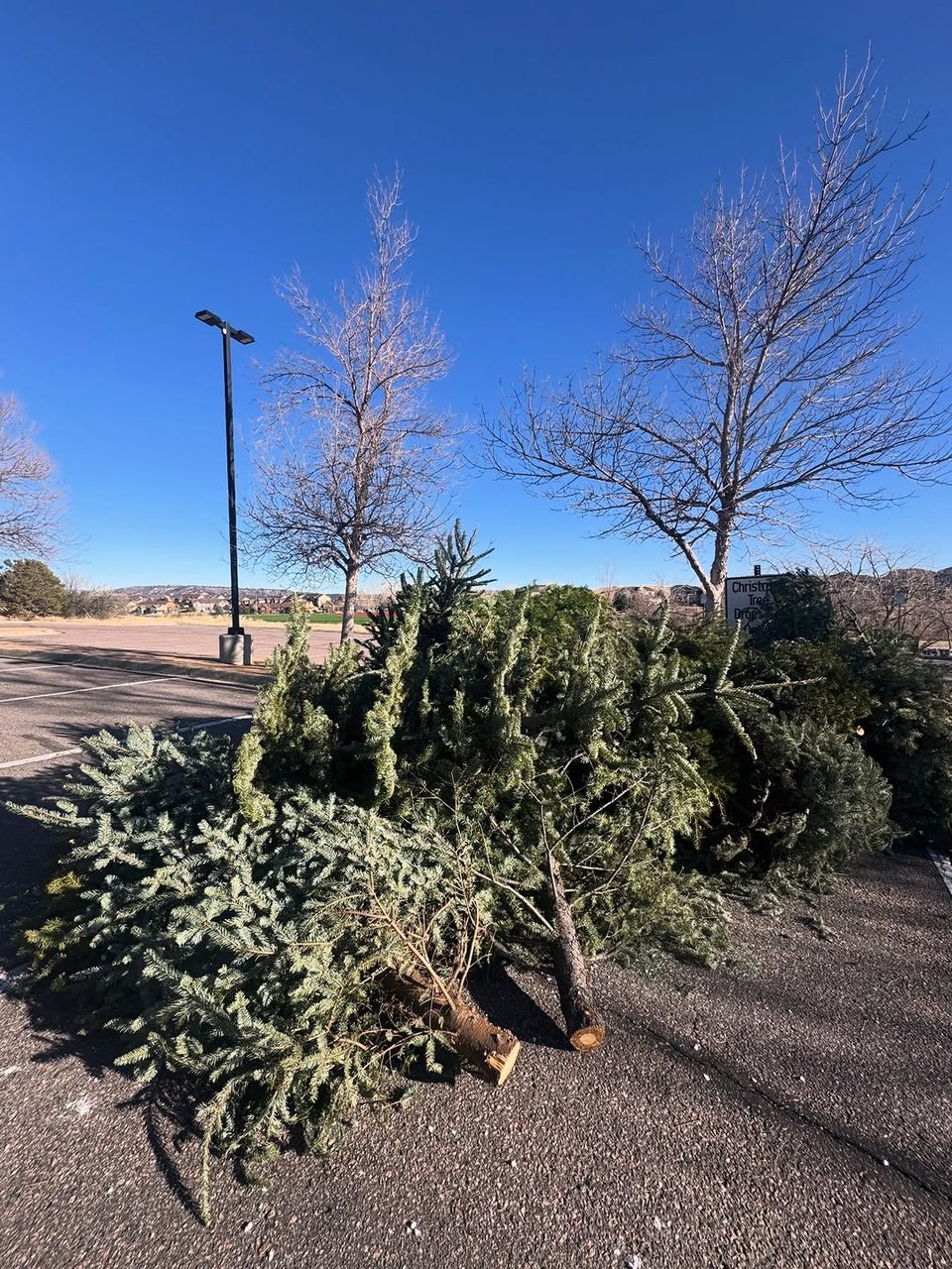 Castle Rock Christmas Tree Recycling – The Meadows Paintbrush Park Drop-Off