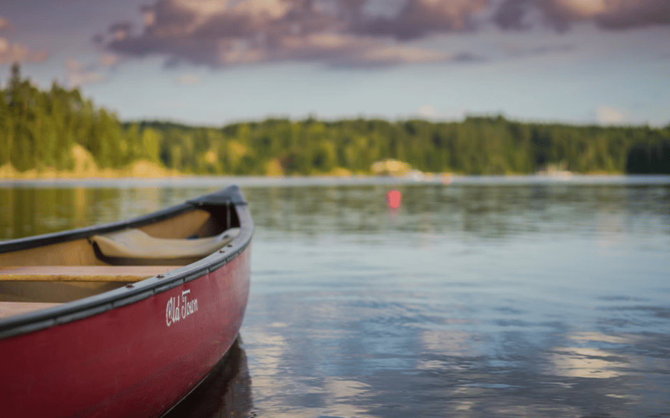 Things to Do on Lake Sammamish | Blog | Margo Allan