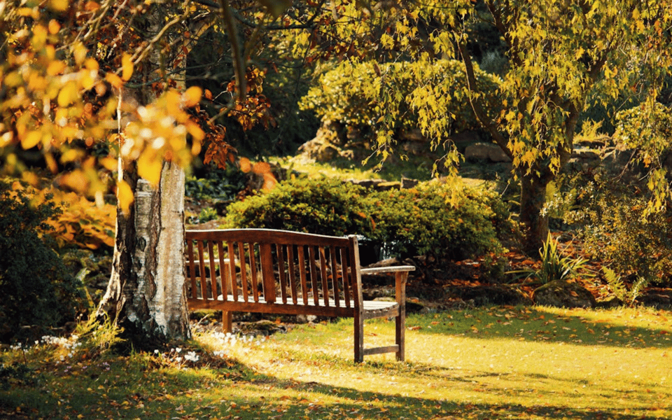 A Guide to Sebastopol Parks | Jeff & Casey Bounsall