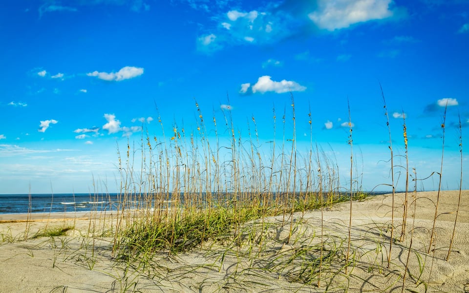 Amelia Island | Neighborhood Guide | Kate Caffrey