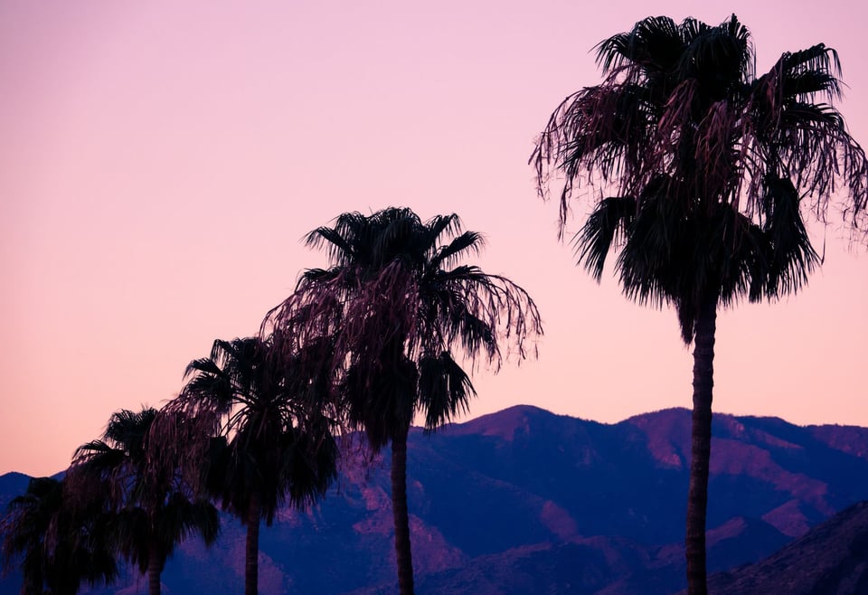 Local Survival Guide: Coachella & Stagecoach Tips for Non-Festival ...