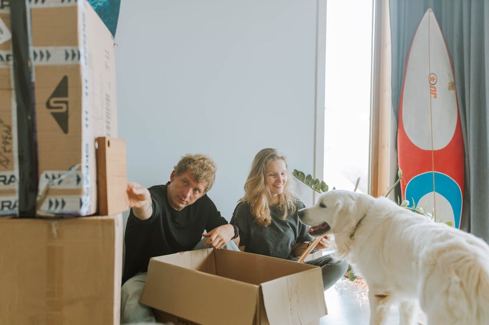 Moving with Pets - Making is Stress Free! | Trish Kelly