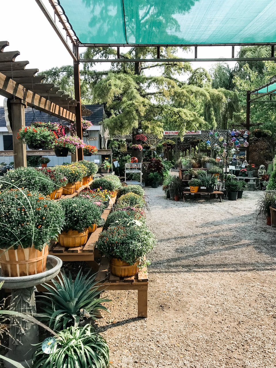 Springtime Fun in Chicago's Western Suburbs