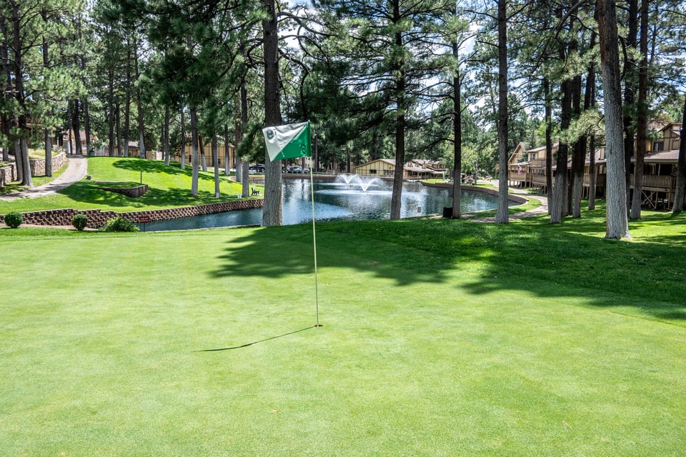 Innsbrook Country Club and Resort | Guide | Hamilton Team