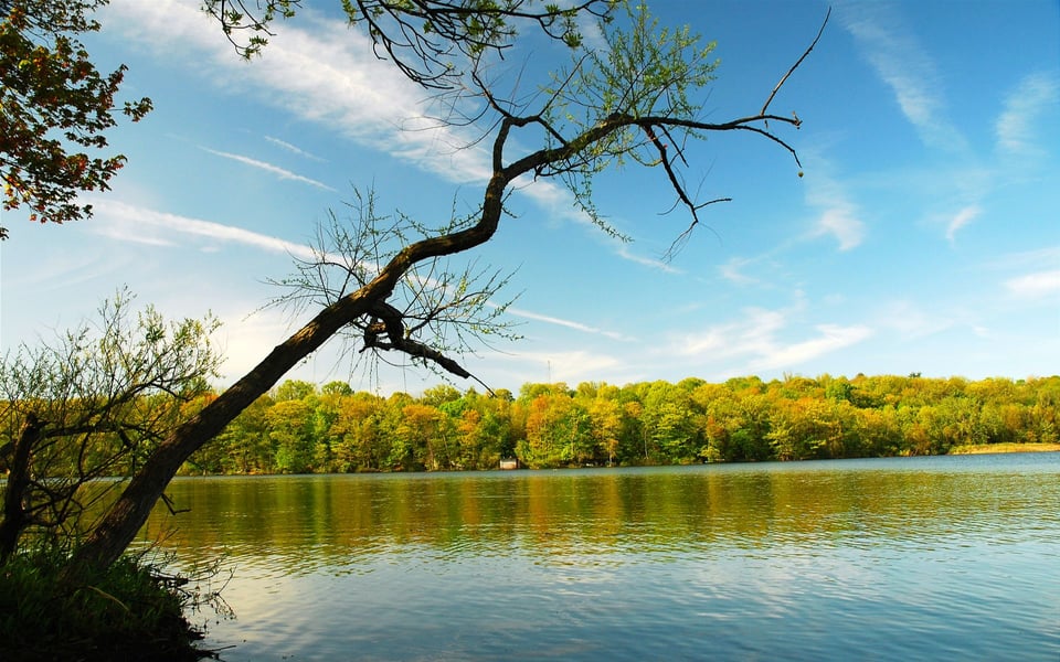 Edgemont, NY Real Estate | Jennifer Fischman Guide