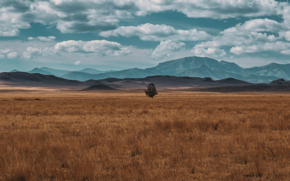 Weekend Trips from Billings MT | Blog | Lanissa Fortner Team