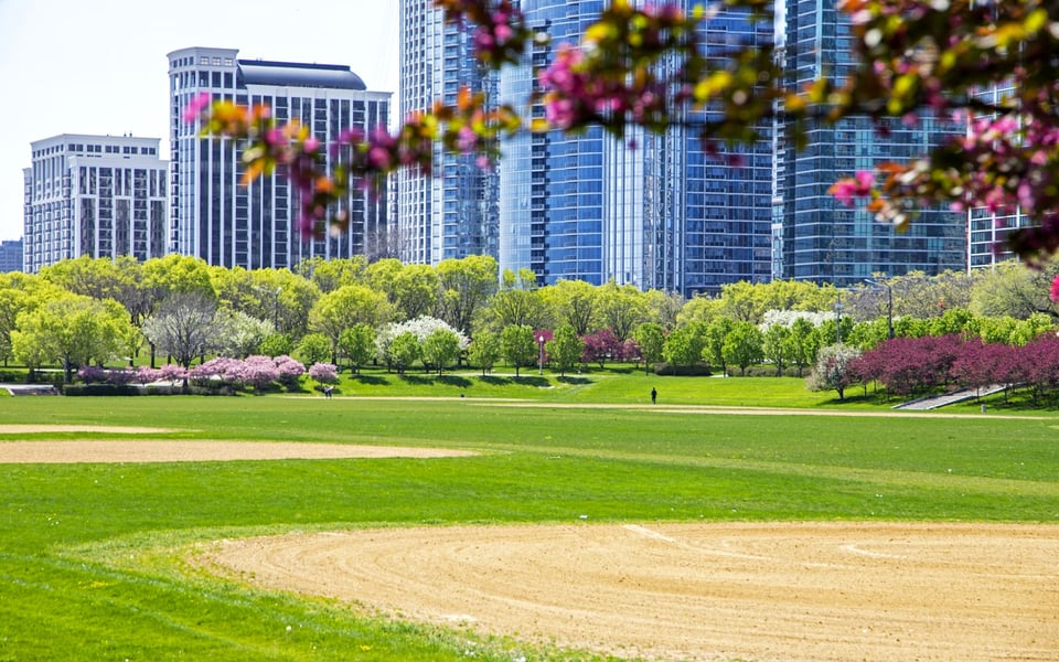 How Lincoln Park Compares to Gold Coast, Bucktown, and Lakeview | Blog ...