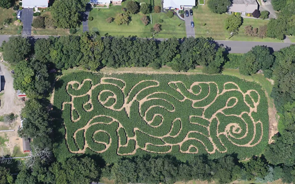 Neighborhood Feature: Daniels Farm