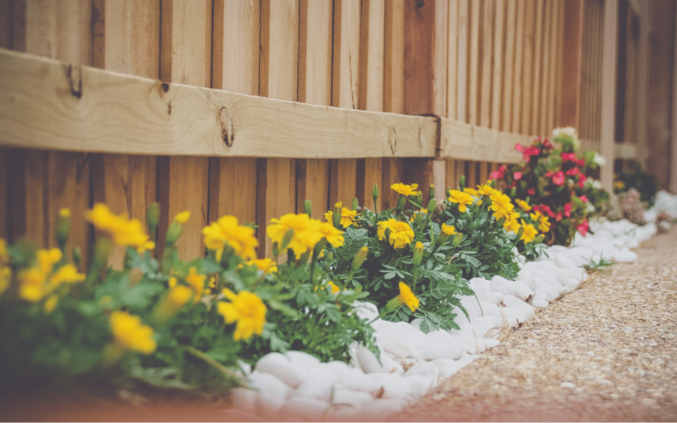 Simple Ways to Add Curb Appeal to Your Home | Blog | Mark Vantress