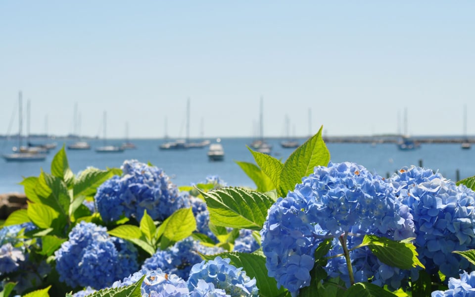 Wamphassuc Point | Guide | Jonathan Shockley | Kevin Rogers