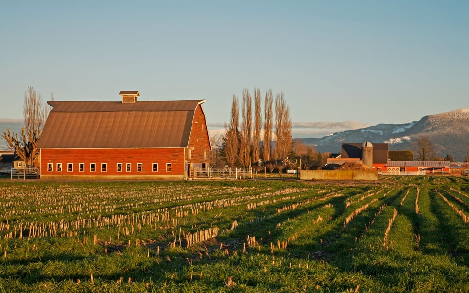 Everson Real Estate Listings – Discover Your Dream Home