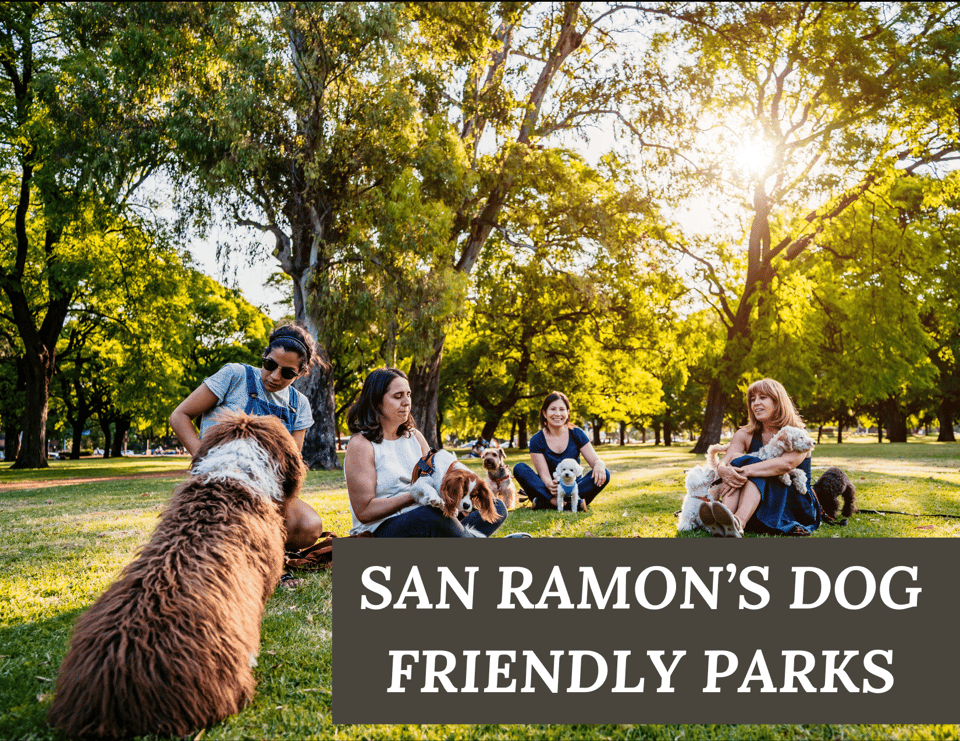 San Ramon CA Dog Friendly Parks