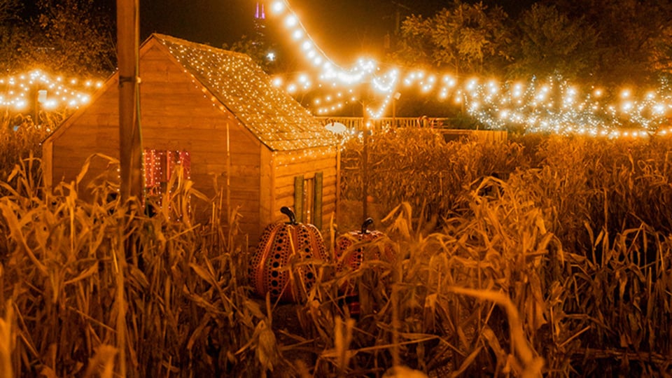 Halloween in Northern Virginia – Haunted Trails & Corn Mazes | 15 West ...