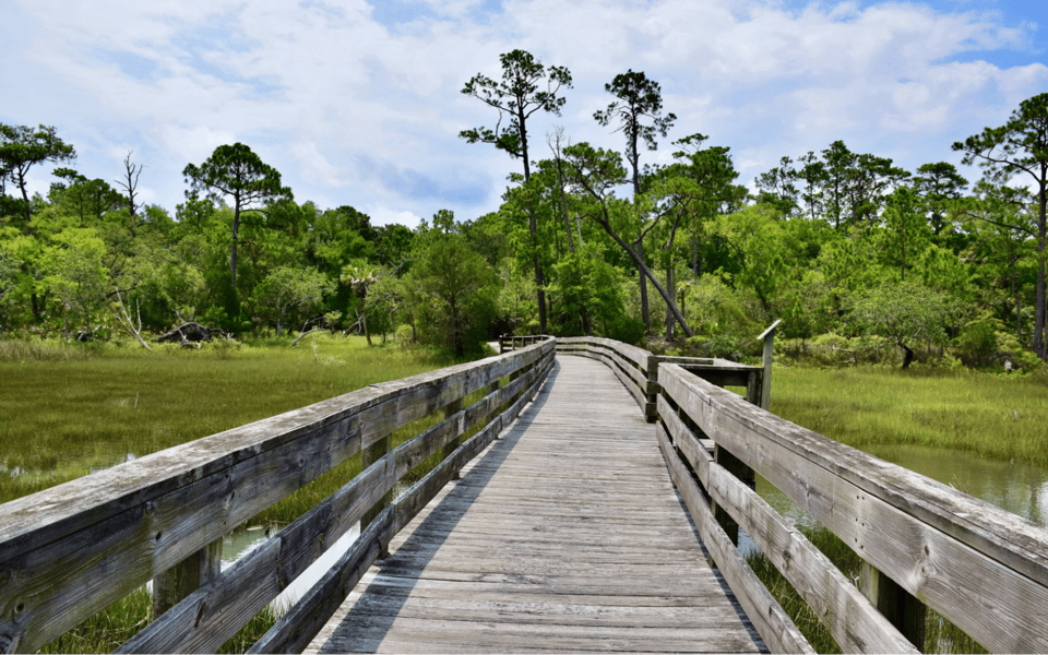 Everything You Need to Know About Moving to Kiawah Island | Blog ...