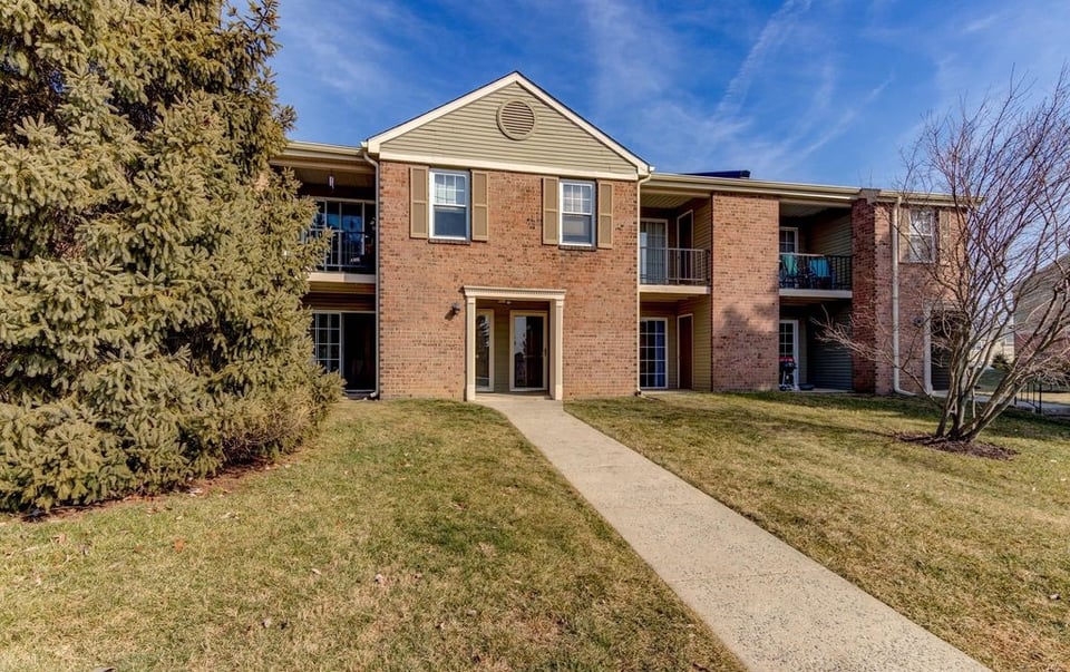 Oxford of Blue Bell | Jamie Erfle