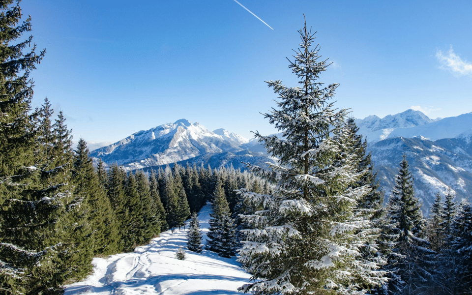 Weekend Trips From Castle Rock | Blog | Felicia Jenkins