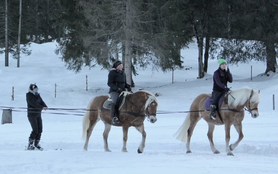 Where to Watch Ski-Joring in Bigfork: Events & Competitions | Blog ...