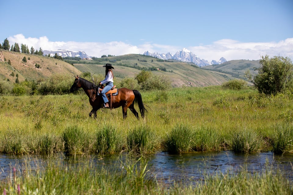 Dude Ranches Jackson Hole: Top 5 Picks for Your Western Getaway