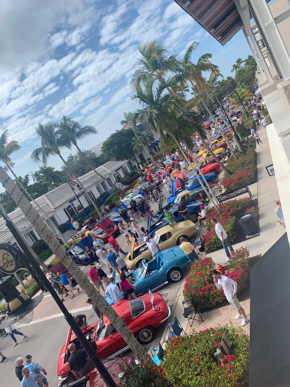 Cars on Fifth - Naples, Florida | The Norgart Team | The Norgart Team