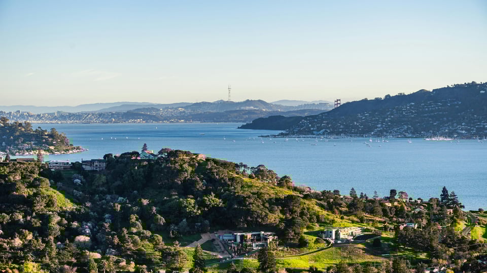 Escape to Tiburon: Enchanting Day by the Bay