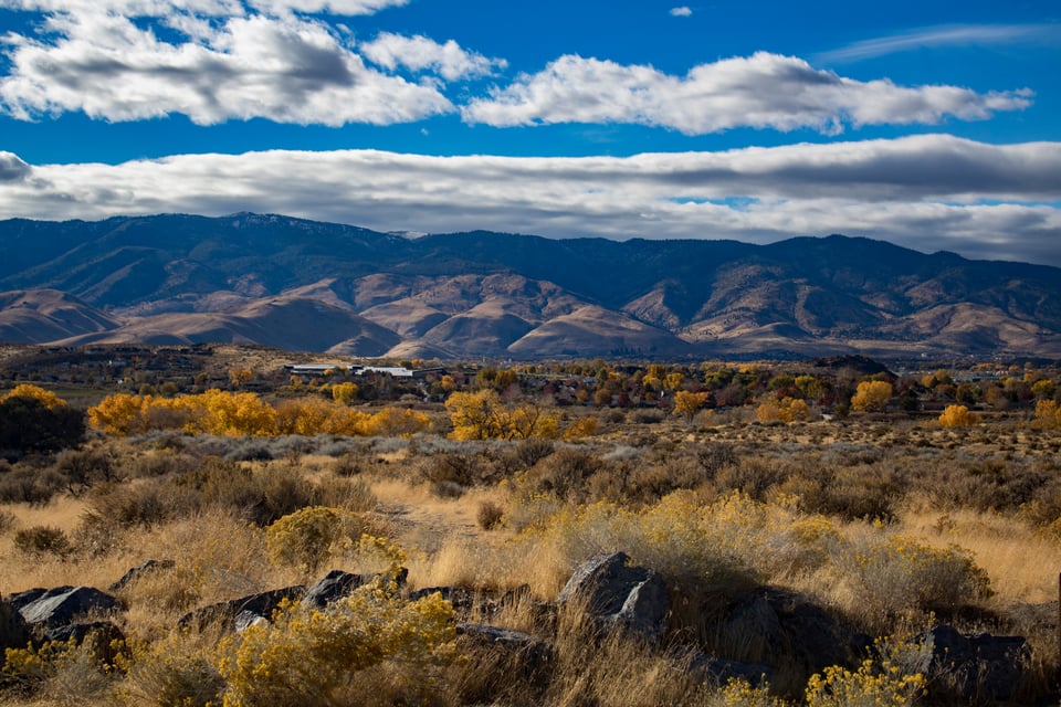 Neighborhood || Carson City