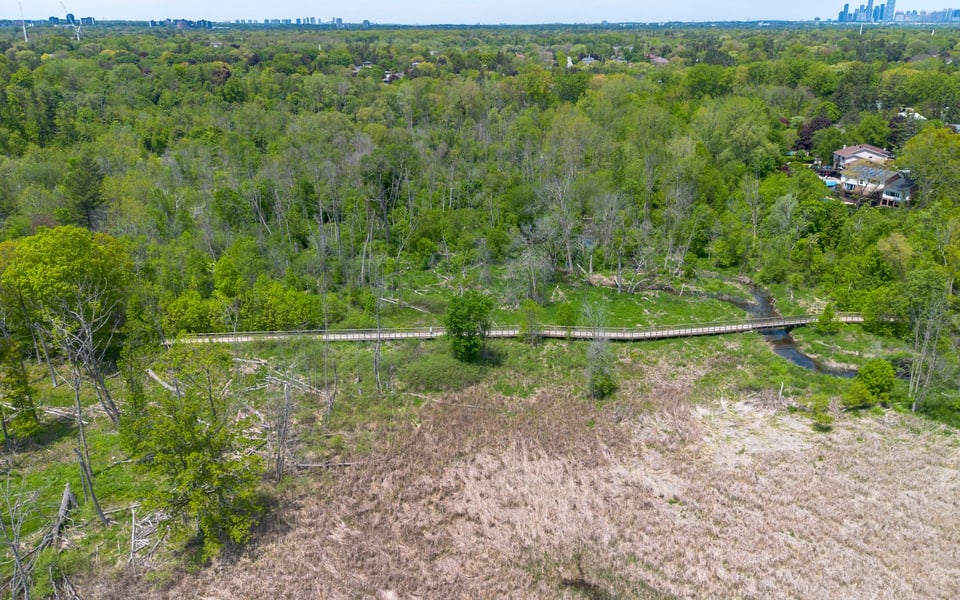 Rattray Marsh | Neighbourhood Guide | Sam McDadi Brokerage