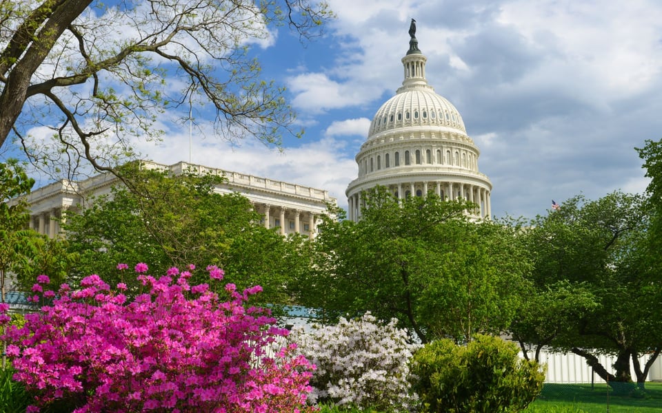 Washington D.C | Neighborhood Guide | Andy Hewitt