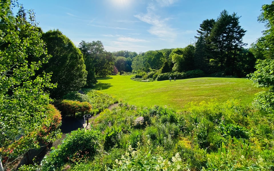 Wayne | Neighborhood Guide | Debbie McCabe - Properties
