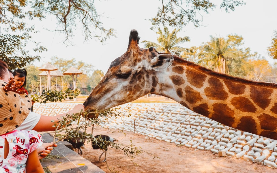 Santa Barbara Sundays - Must Visit Local Attractions