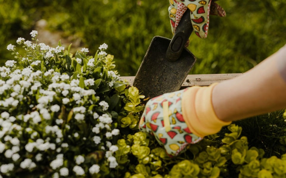 The Role of Landscaping in Boosting Your Home’s Appeal