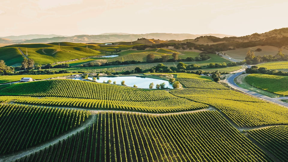 Napa Living: Wine Country Elegance Awaits | Guide | Neighborhood Guide ...