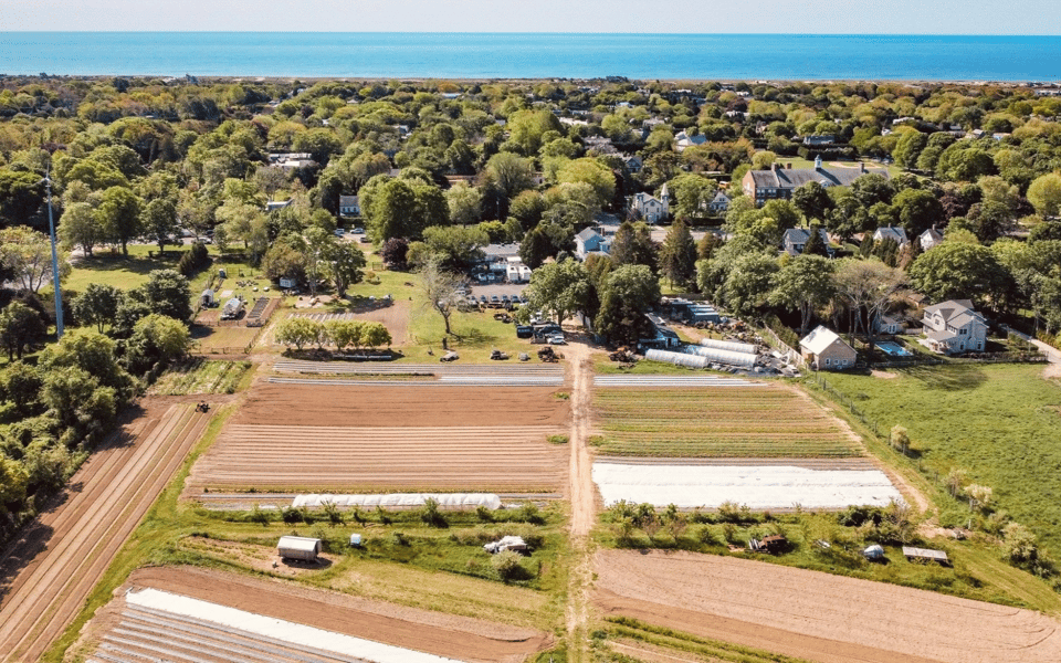 Top Farms in The Hamptons | The Agency Hamptons